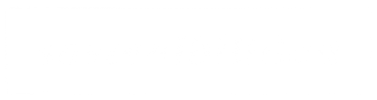 OKORU · Life solutions – LÍDERES EN EL MERCADO DEL TRANSPORTE DEL ...